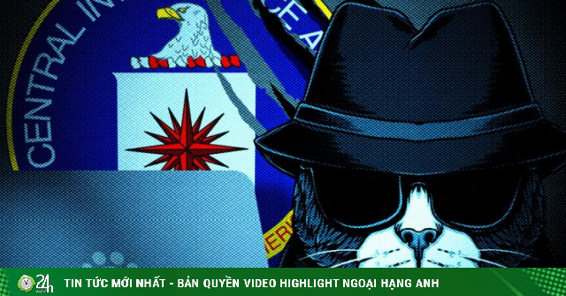 CIA Mỹ đổ 20 triệu USD biến mèo thành "điệp viên" để tung vào Liên Xô ...