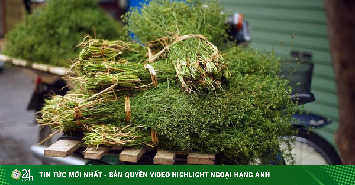 Vì sao lại thường tắm lá mùi vào chiều 30 Tết?