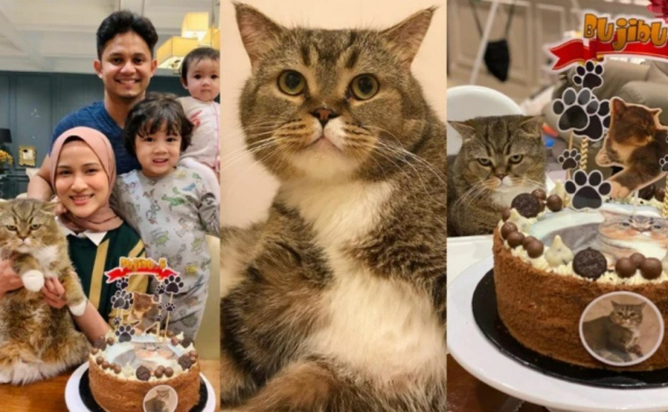 Top những chú mèo giàu nhất thế giới, sở hữu tài sản hơn 100 triệu USD