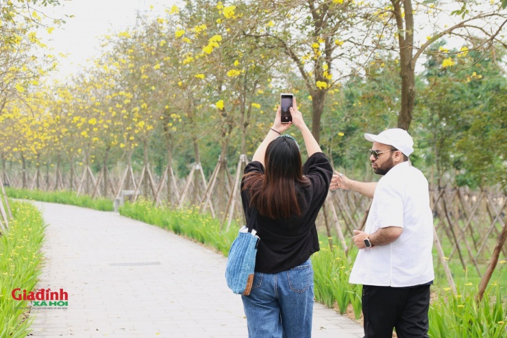 Chị em ‘phát sốt’ với con đường hoa Phong Linh vàng rực ở Hà Nội