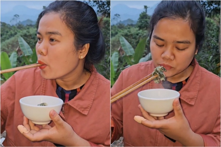 Nàng dâu Tây Bắc chế biến món ngon từ rêu thu hút hàng triệu lượt xem