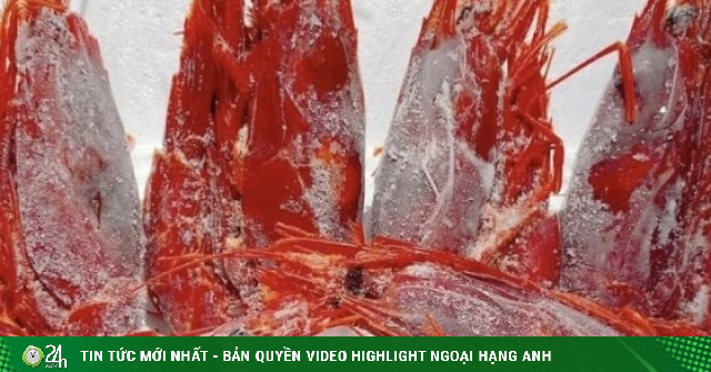 Tôm quỷ đỏ đắt nhất thế giới đổ bộ chợ Tết Ất Tỵ, giá 4,7 triệu đồng/kg