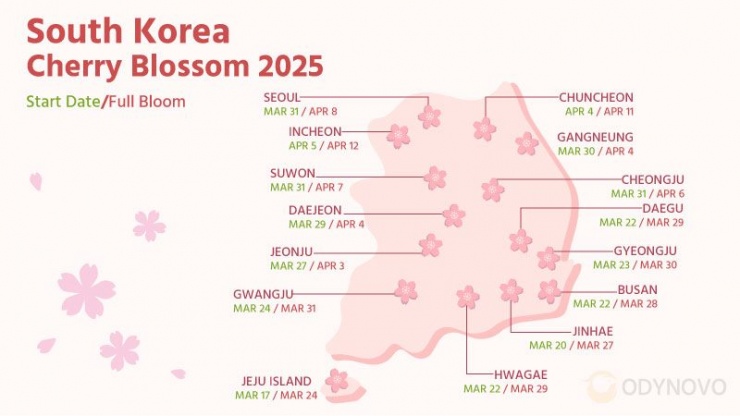 Điểm đến mới cho mùa anh đào rực rỡ