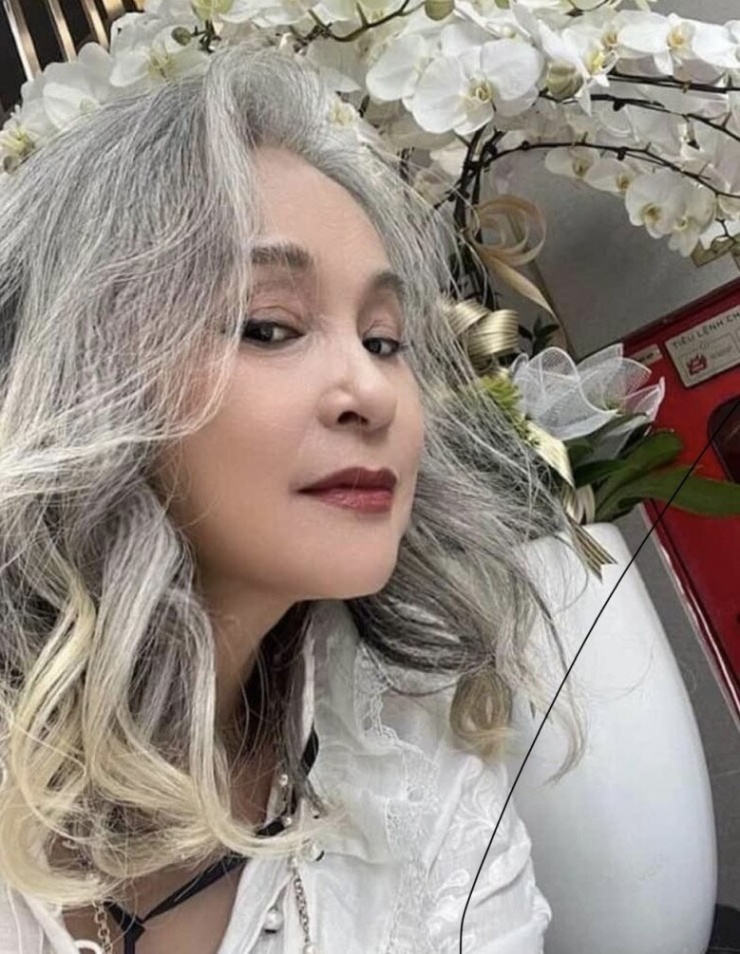 Sao Việt chống chọi với bệnh K: Diva Hồng Nhung không giấu giếm 2 con ...