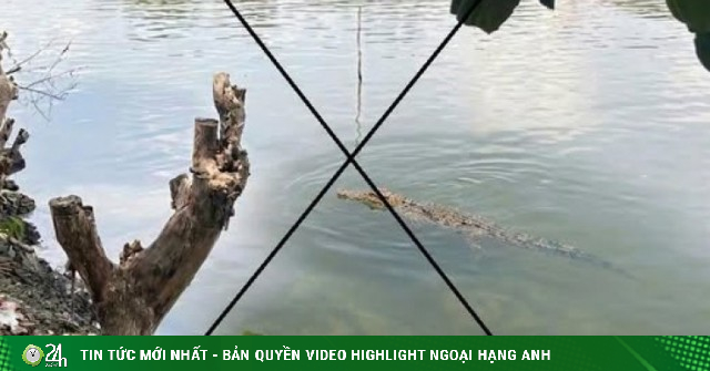 Thông tin lan truyền "cá sấu xuất hiện trên sông Chắc Băng”: Tạo ảnh ...