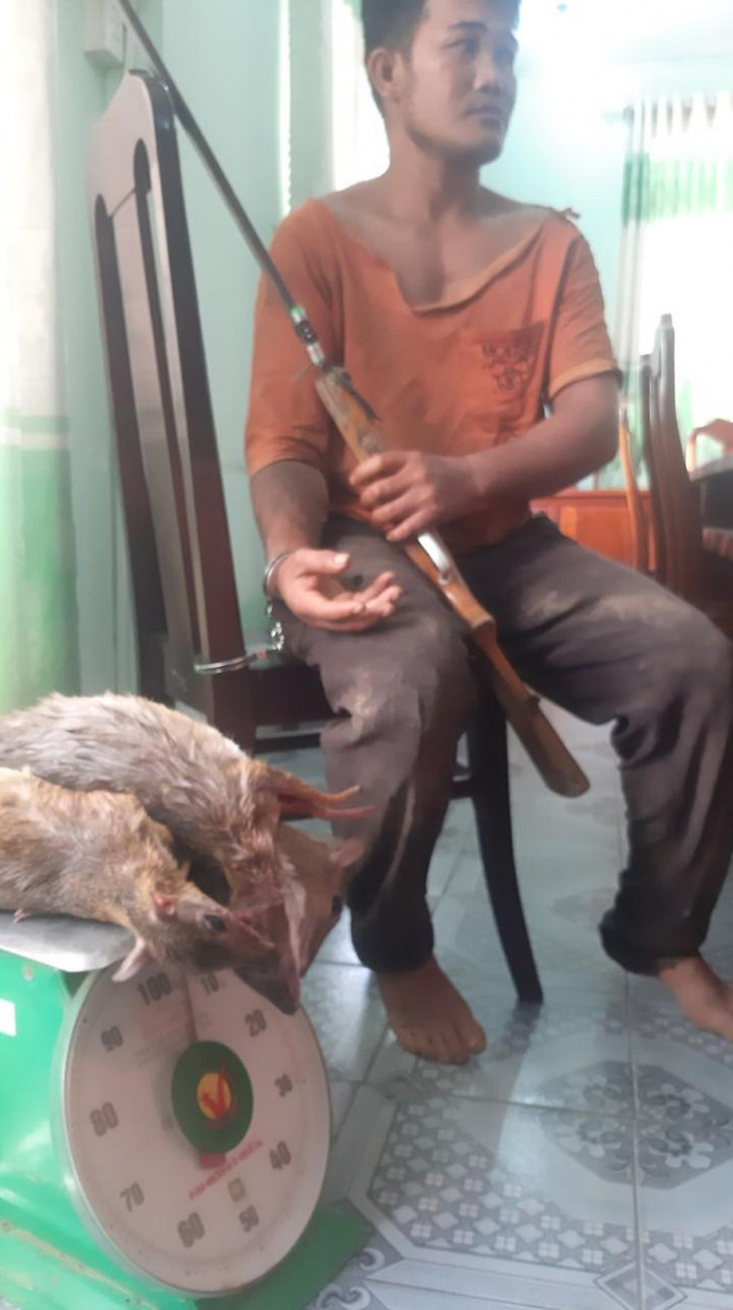 Dùng súng tự chế bắn 3 con cheo cheo