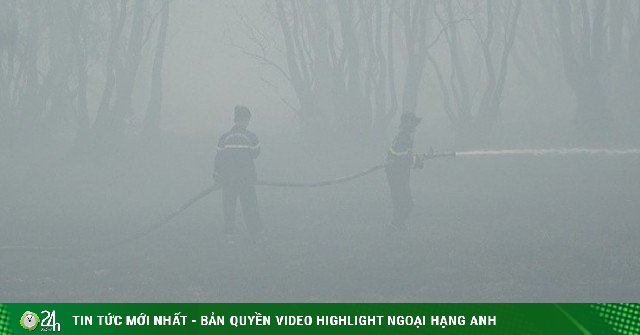 Vườn quốc gia Tràm Chim cháy do 'có người xâm nhập trái phép'