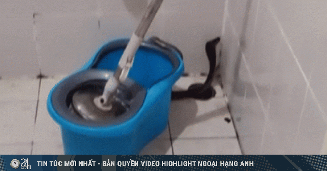 Nghe tiếng rít trong phòng tắm, cả gia đình đi kiểm tra thì sốc nặng