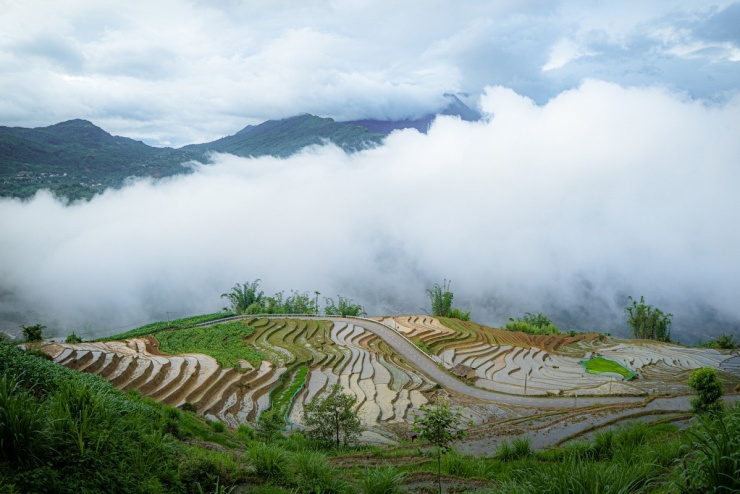 Ruộng bậc thang Y Tý mùa nước đổ