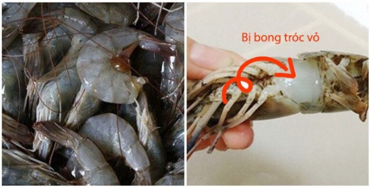 Tôm bán đầy chợ nhưng có 4 con này rẻ mấy cũng đừng mua, đọc xong nhớ ...