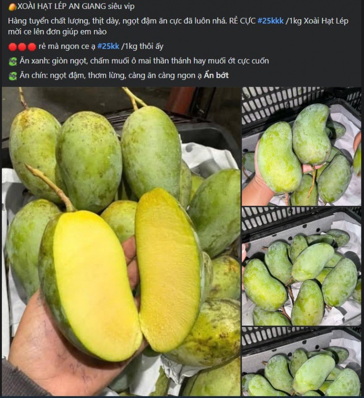 Xoài hạt lép là xoài gì mà được nhiều người tiêu dùng tiêu thụ 'chóng ...