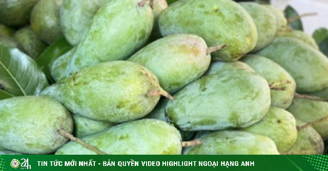 Xoài hạt lép là xoài gì mà được nhiều người tiêu dùng tiêu thụ 'chóng ...