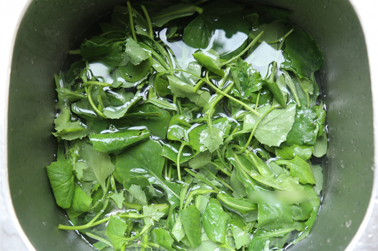 Loại rau dại toàn gai là gai, siêu sắt, giàu canxi, ăn vào mùa hè thanh ...