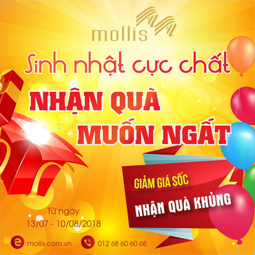Mollis rộn ràng ưu đãi mừng sinh nhật
