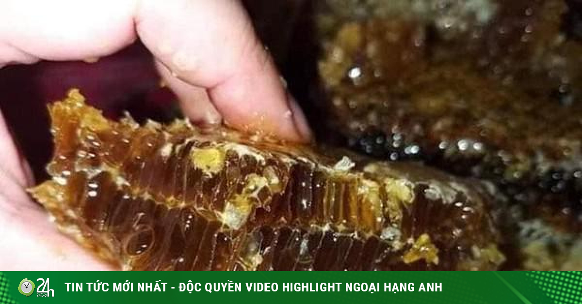 Mật ong đen vị đắng siêu hiếm, người sành ăn bỏ tiền triệu vẫn khó mua