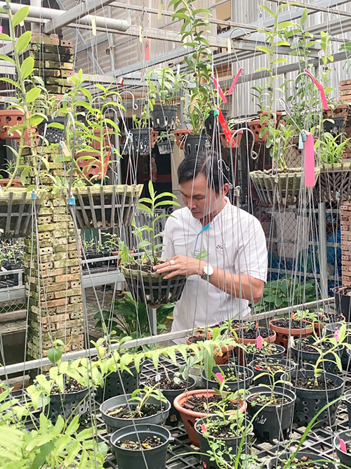 Tiết lộ chân dung nghệ nhân trồng hoa lan Phan Thanh Liêm