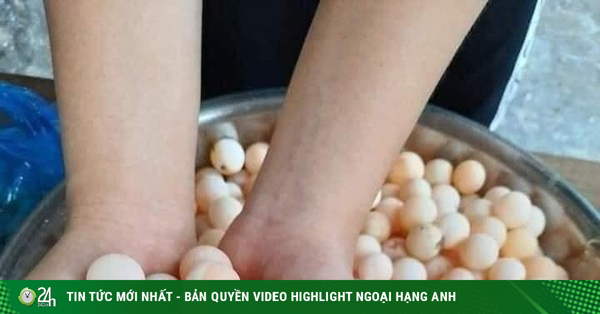 Chuyên gia dinh dưỡng nói gì về trứng ba ba tốt cho sức khỏe nam giới