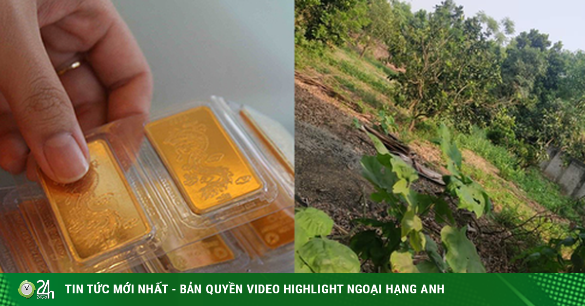 Có nên mua mỗi tháng 1 chỉ vàng để tích lũy?