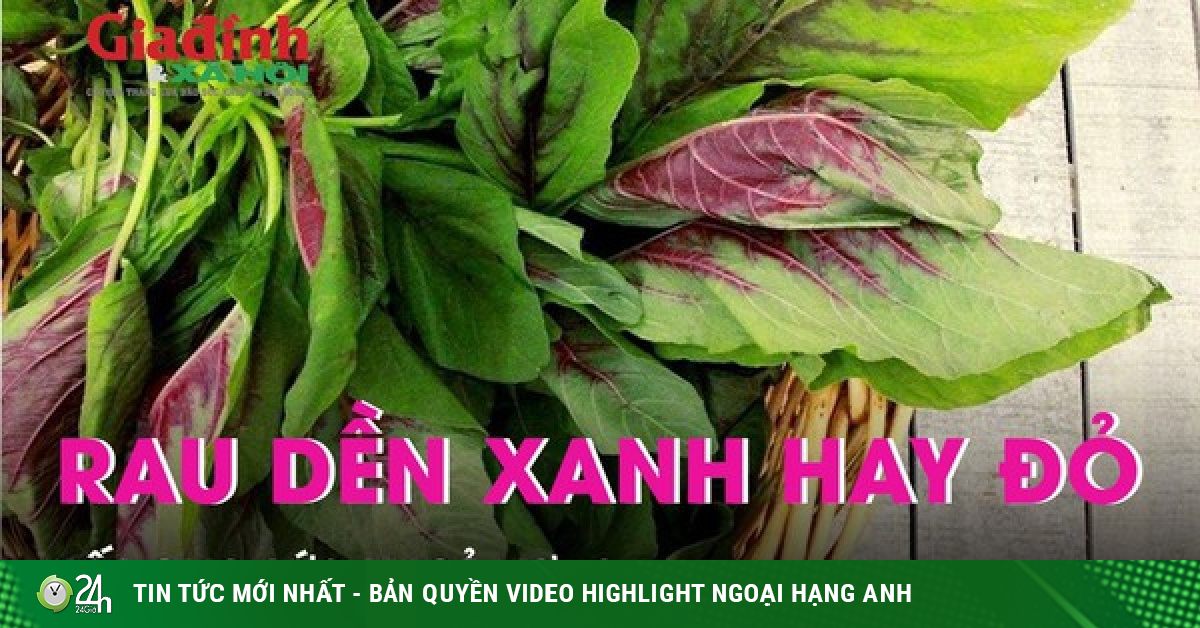 Rau dền xanh hay rau dền đỏ tốt cho sức khoẻ hơn?