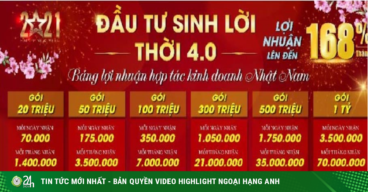 Chủ tịch Cty Nhật Nam Vũ Thị Thúy "biến hóa” vốn theo mô hình "Ponzi"?