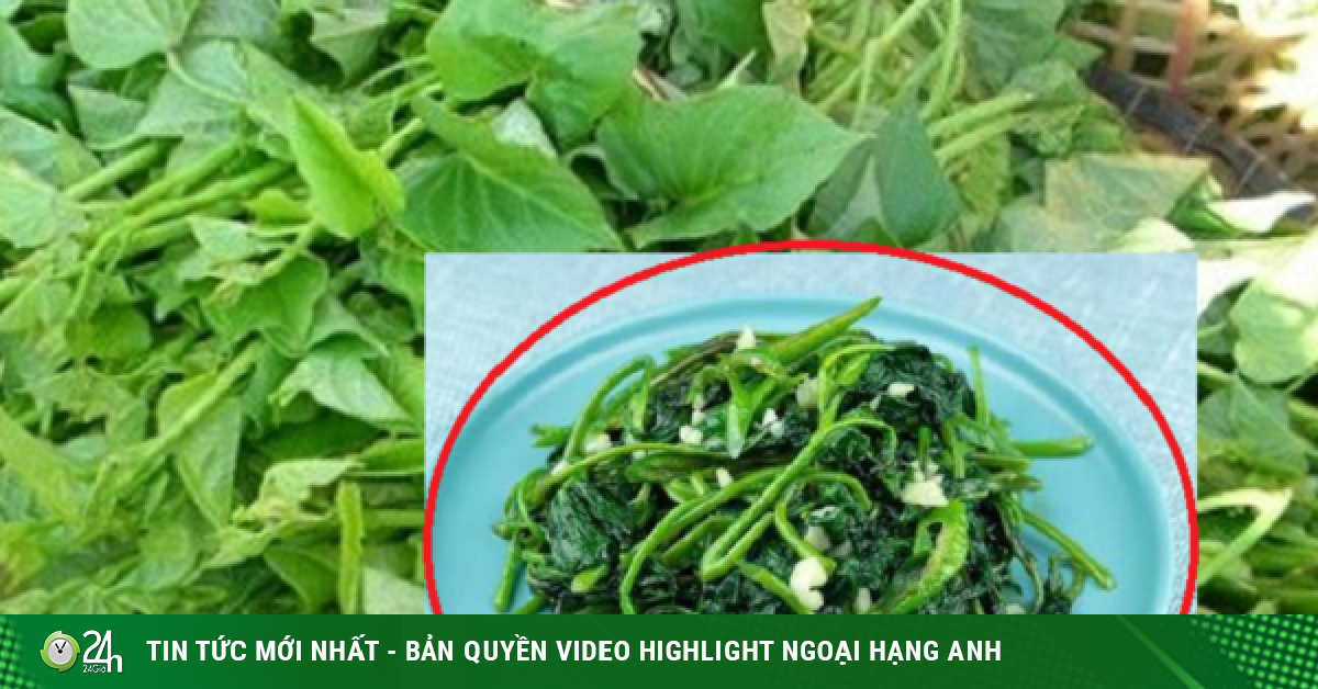 Loại rau mọc nhanh như cỏ được ví như "vua của các loại rau bình dân ...
