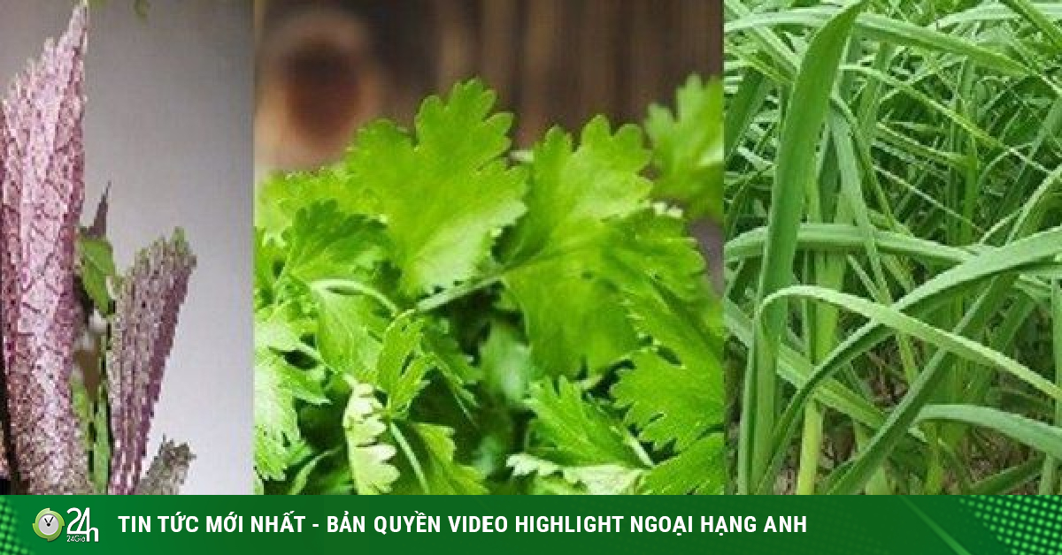 Loại rau "nhỏ nhưng có võ” làm thuốc chữa bệnh, thường có trong mâm cơm ...