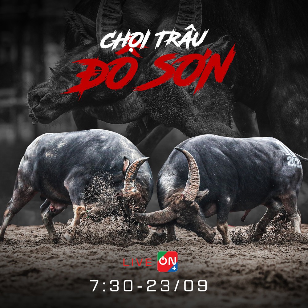 Xem Lễ hội Chọi trâu Đồ Sơn trên ứng dụng ON Plus của VTVcab
