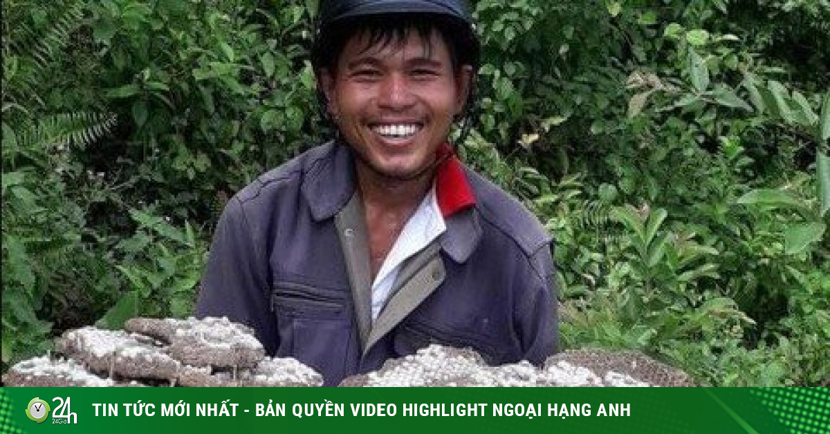 Lạ lùng nghề nuôi ong "tử thần”