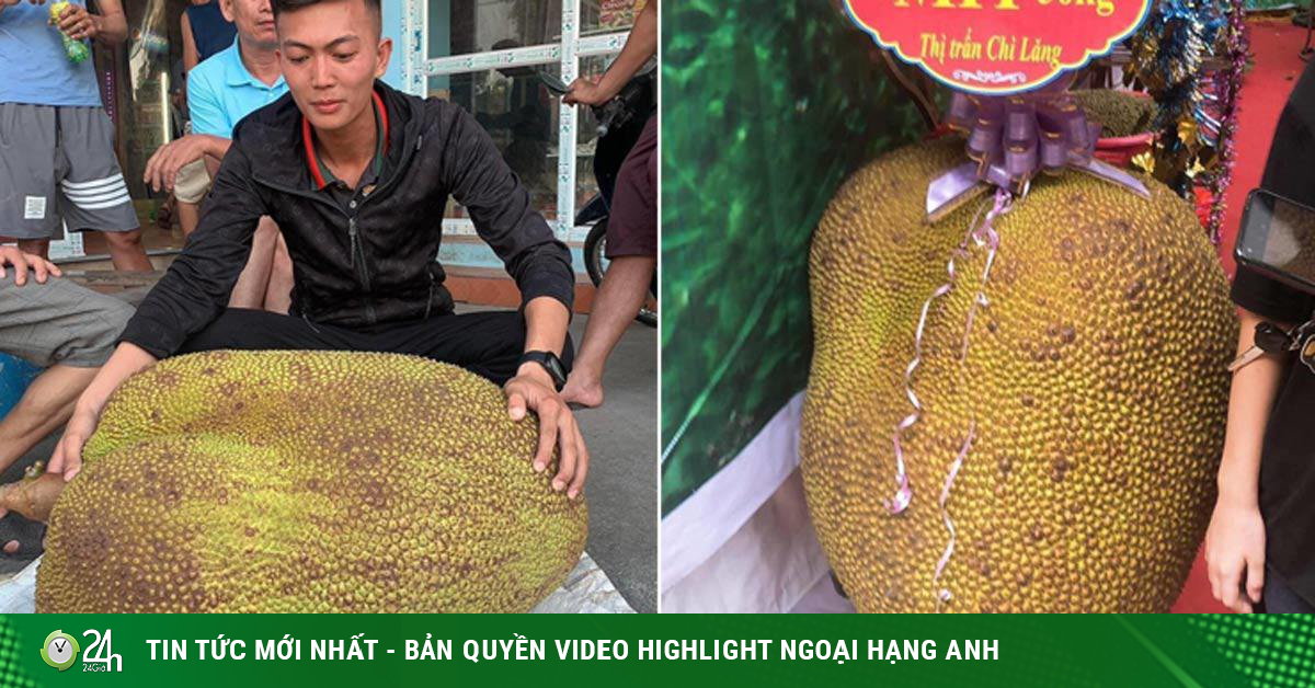 Thực hư quả mít 56kg ở Lạng Sơn khiến dân tình xôn xao