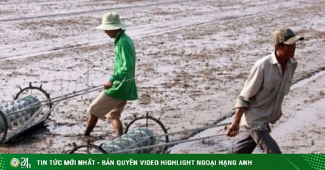 ‘Kho vàng’ chục triệu tấn bị vùi trong bùn vì thói quen xấu