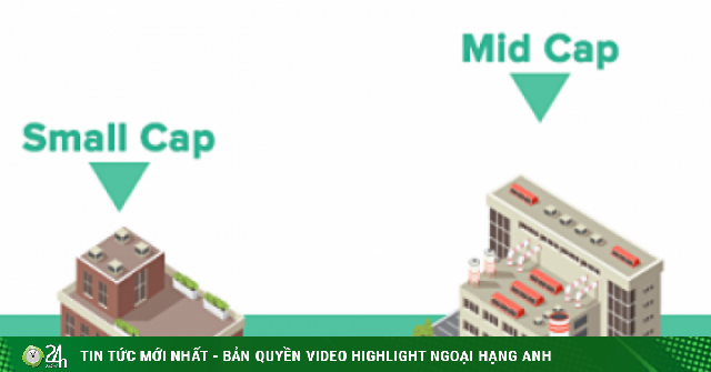 Phân loại công ty niêm yết theo vốn hóa thị trường