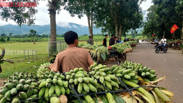 Hình ảnh khác lạ tại ngã 3 chợ Tân Long - nơi xe tải lao vào chợ khiến 3 người chết