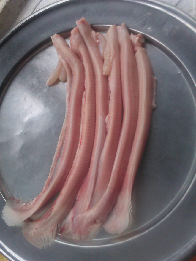 Bình Định: Loài cá da trơn "xấu hết phần thiên hạ", trông thì chả ra gì ...