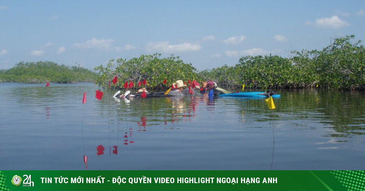 Kinh ngạc "thế giới vượt thời gian" của người Maya giấu dưới đầm nước