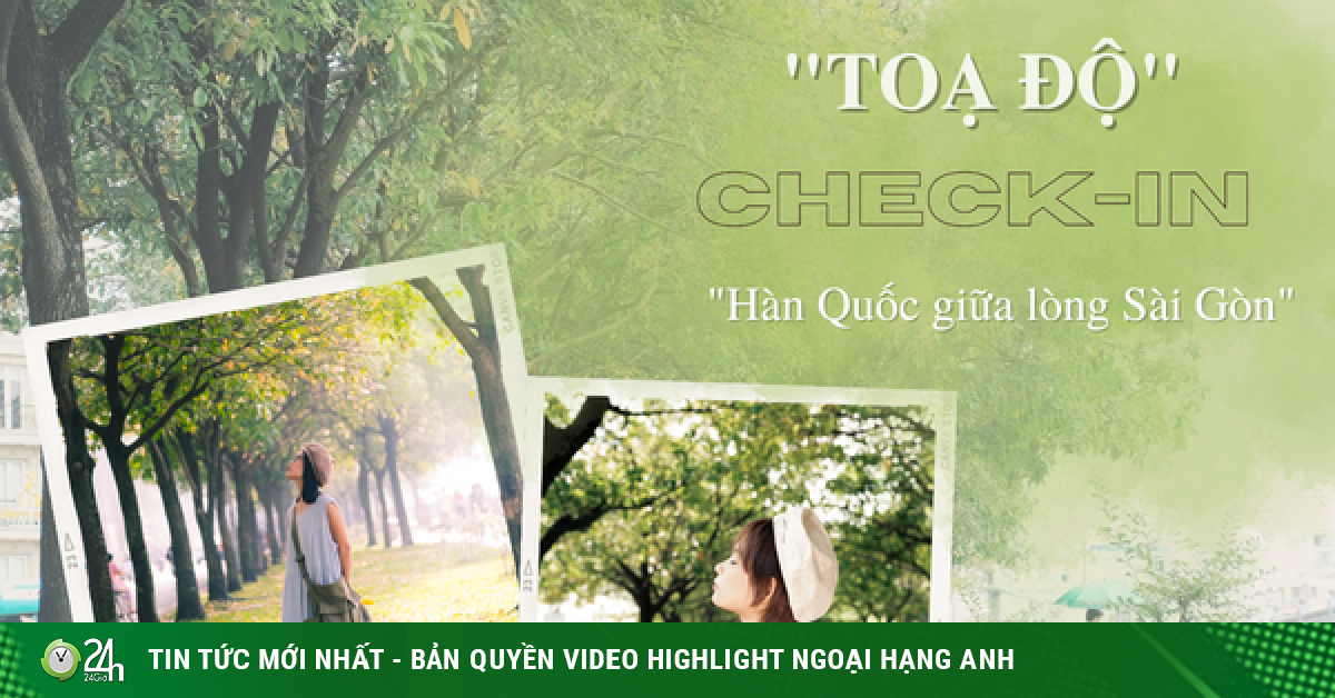 Tọa độ check-in: Con đường lá bay đẹp như bên Hàn, không thu phí lại có ...