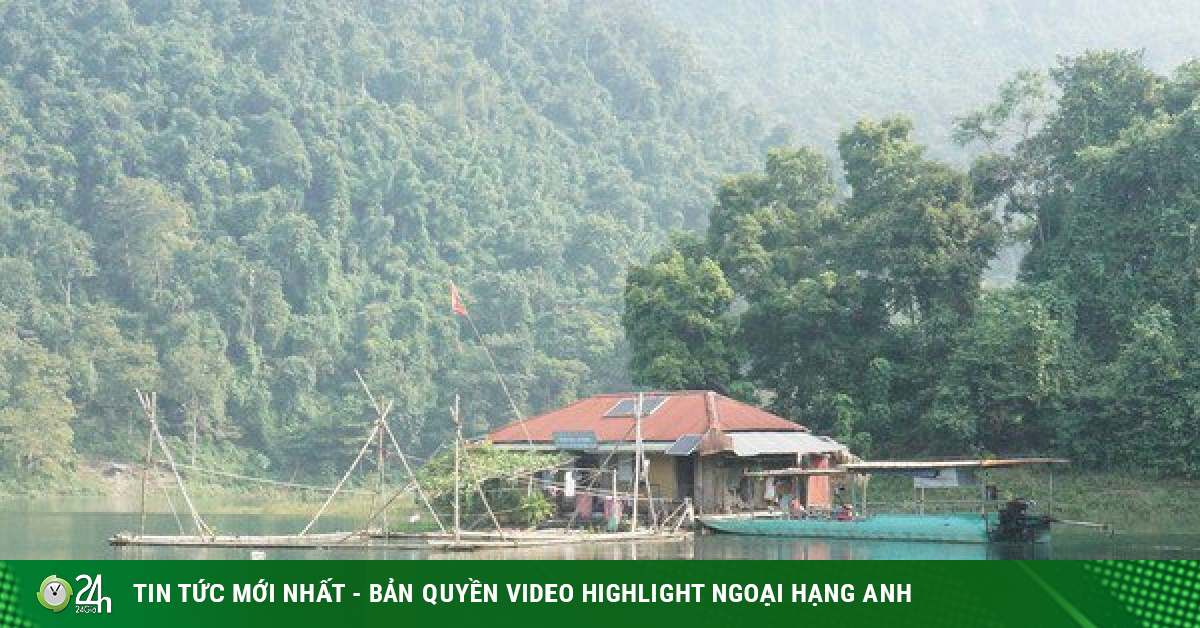 Chuyện vụn đại ngàn: Chuyến thăm các đại lão mộc
