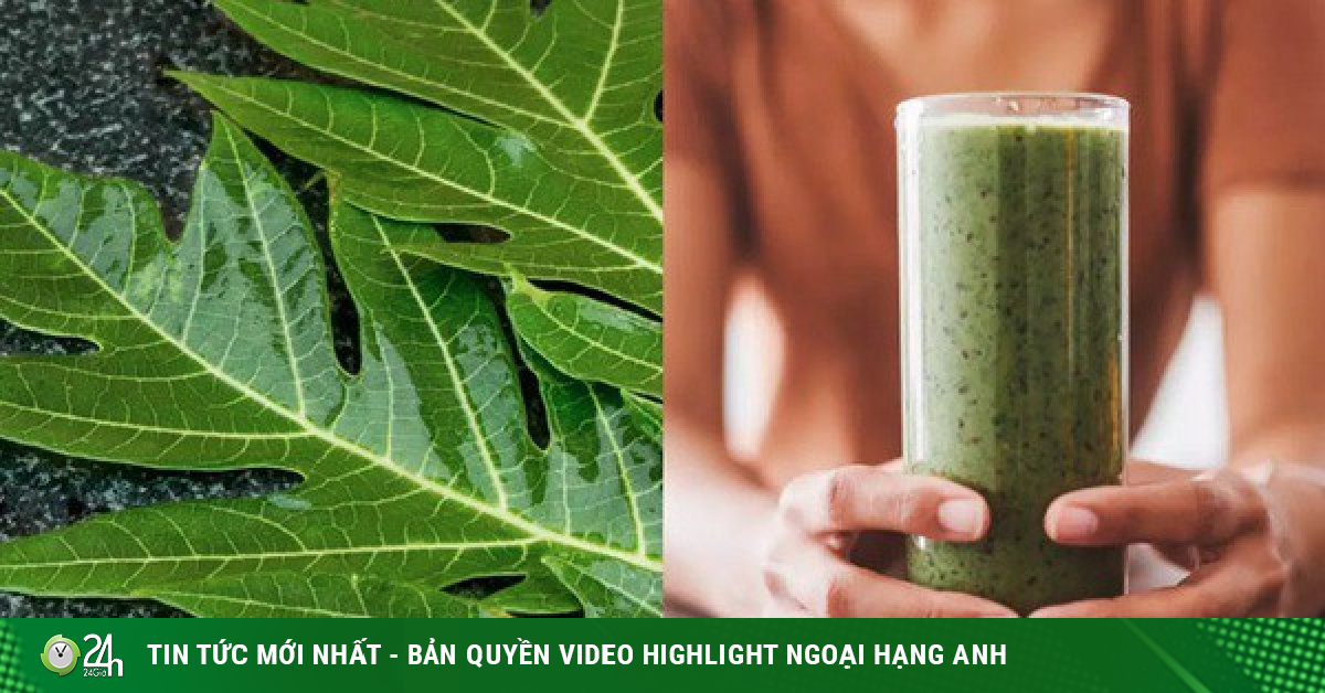 Thực hư lá đu đủ chữa bệnh, đây là những bài thuốc chữa bệnh hiệu quả ...