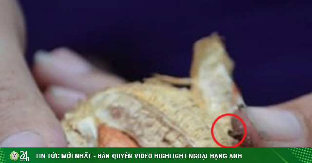 Loại quả xưa rụng quét vứt đi, nay đắt đỏ nửa triệu/kg, thế giới cũng dùng