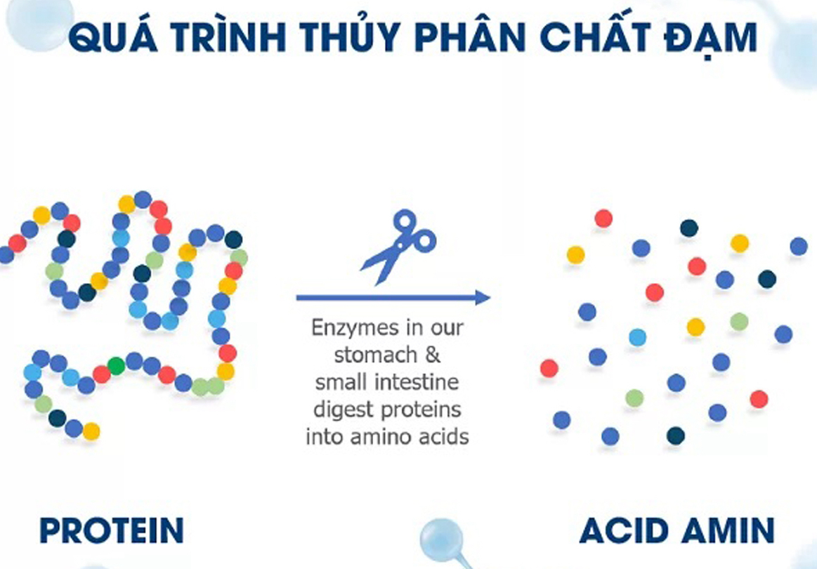 Khám phá thành phần dinh dưỡng nổi trội của Jimbo Gold