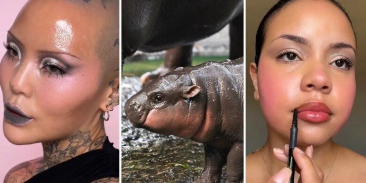 Moo Deng Makeup: Xu hướng trang điểm giống chú hà mã đang viral từ Âu ...