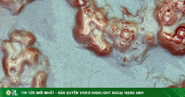 Phát hiện thành phố Maya cổ đại bị lãng quên ở Mexico