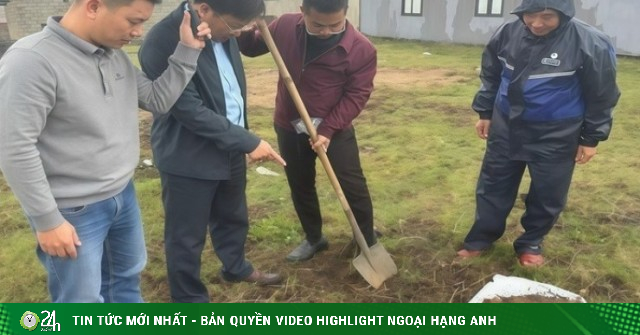Giun đất bò kín sân vườn, chết bất thường ở Quảng Trị: Lấy mẫu đất ...