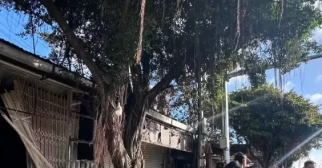 Vụ cháy khiến 4 người tử vong: Cháu bé duy nhất sống sót chuyển viện