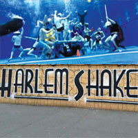 HARLEM SHAKE 2017, Cover Harlem Shake bá đạo nhất